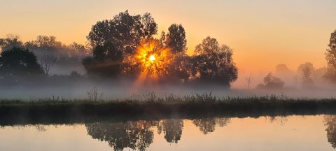 Voies vertes et véloroutes en Alsace