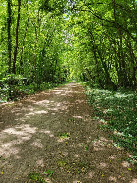 Carte de France des voies vertes, véloroutes pistes cyclables | Ma Voie ...