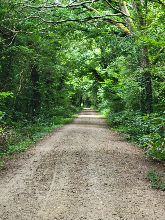 Carte de France des voies vertes, véloroutes pistes cyclables | Ma Voie ...